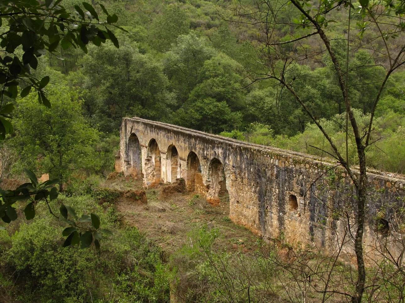 San Miguel Amatlán, Oaxaca