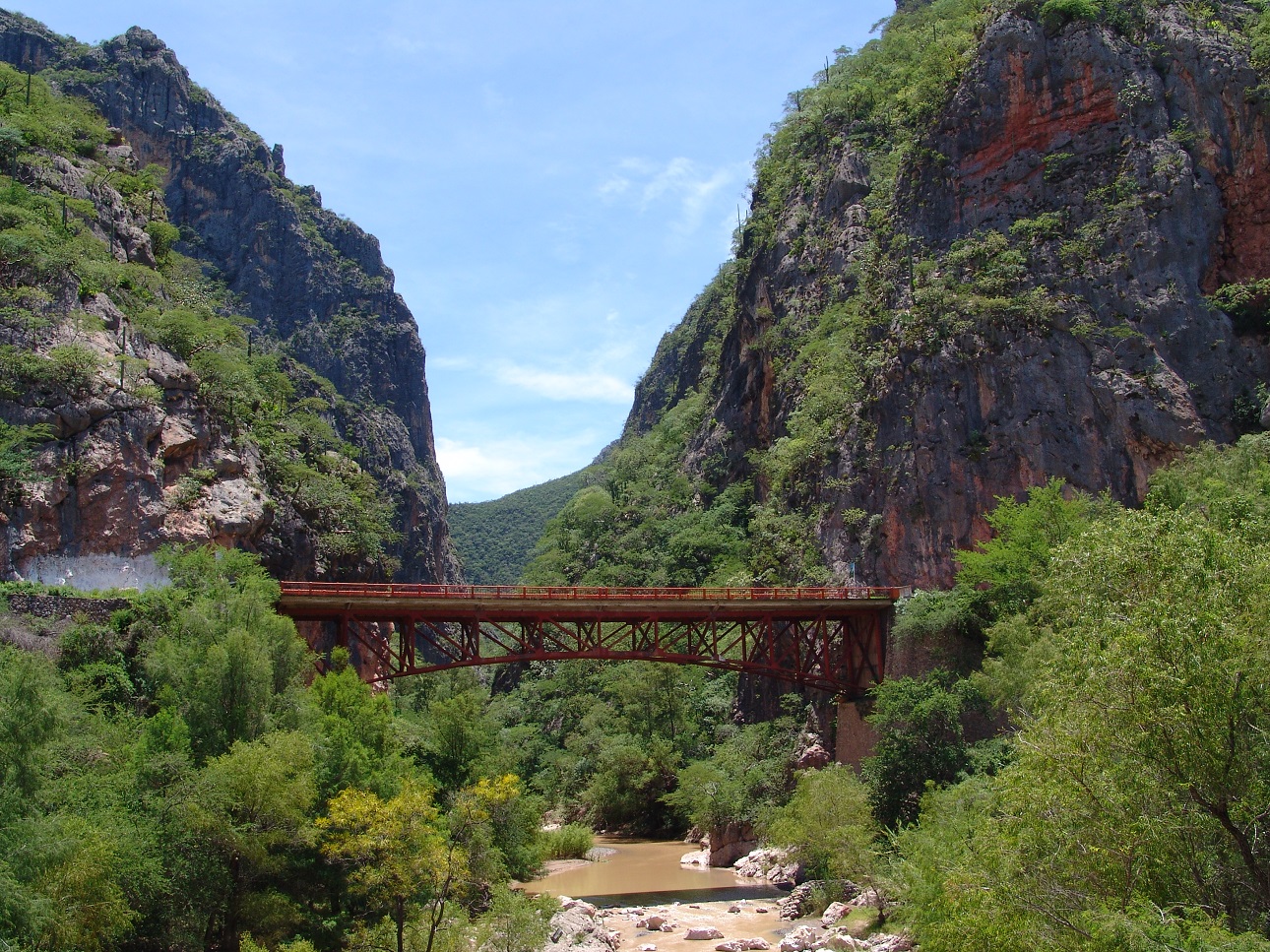Área De Protección De Flora Y Fauna Boquerón De Tonalá, Oaxaca